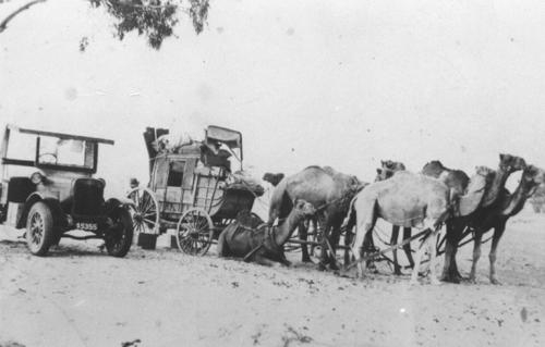 Saltern Creek bushfire, QLD 1918 | Australian Disasters