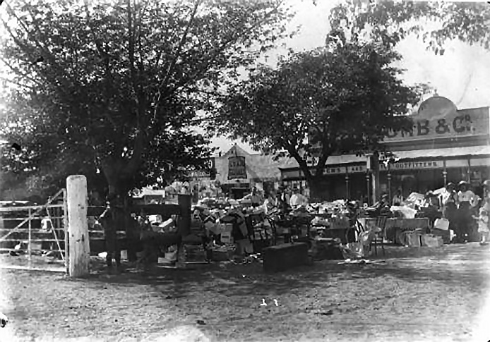 Saltern Creek bushfire, QLD 1918 | Australian Disasters