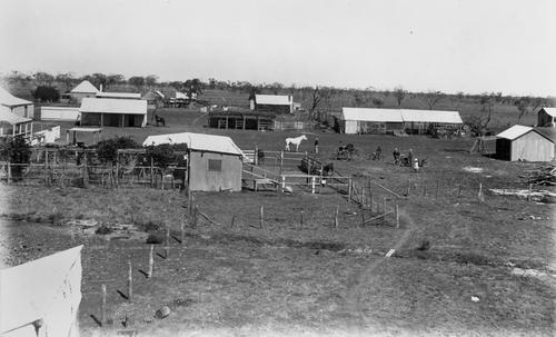 Saltern Creek bushfire, QLD 1918 | Australian Disasters